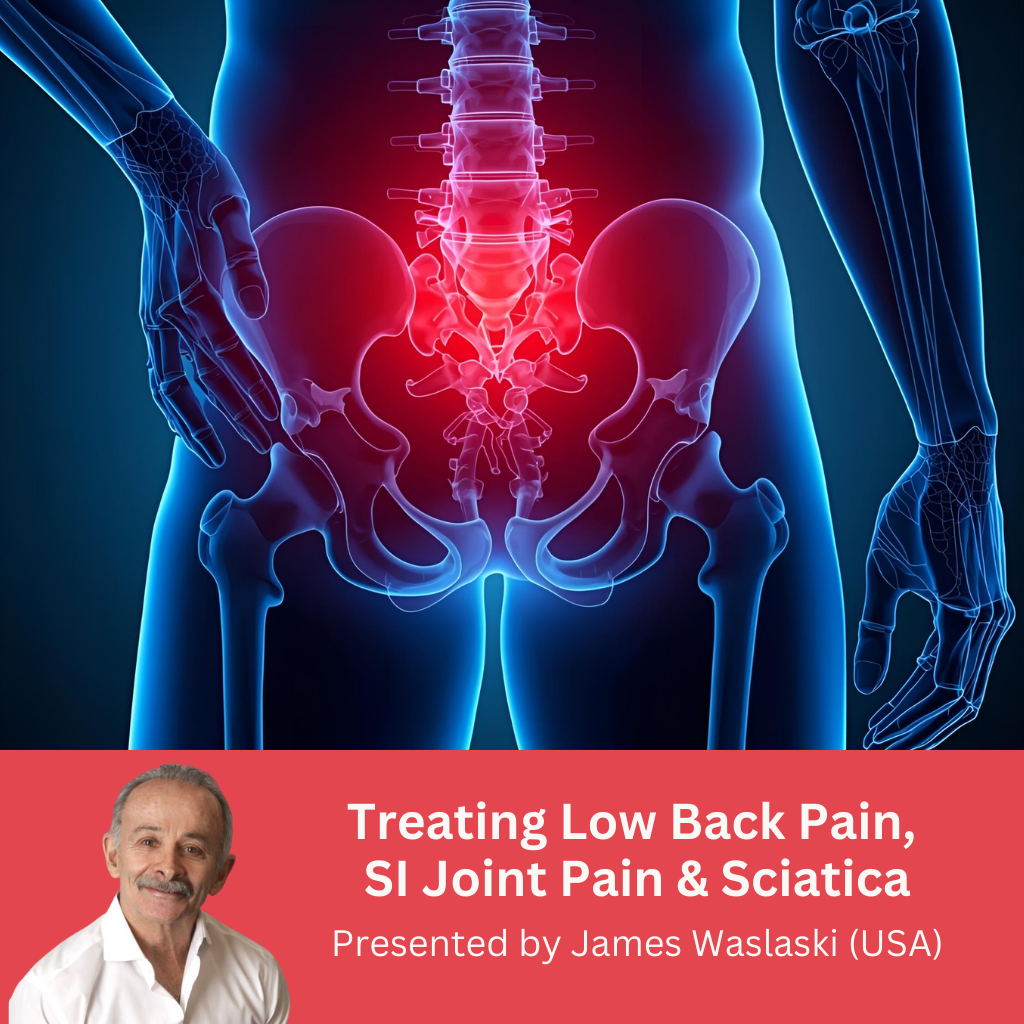 James Waslaski's Treating Low Back Pain, SI Joint Pain & Sciatica ...